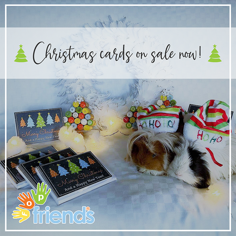 Support FOP Friends this Christmas - FOP Friends
